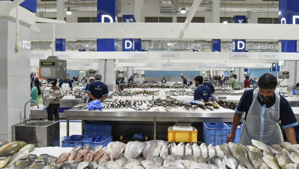 Top 10 Fish Markets in Dubai, UAE | Spots for Fresh Seafood