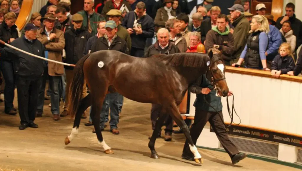 Top 10 Most Expensive Horses in the World | Updated List 2025
